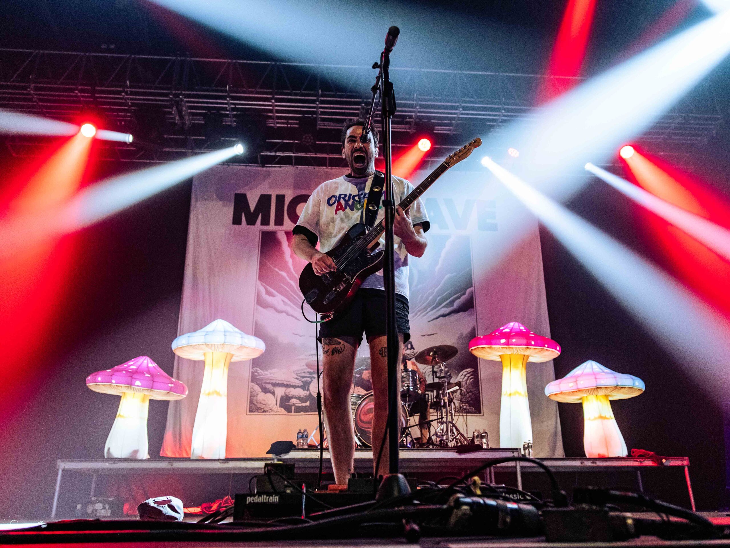 Microwave's New Album 'Let’s Start Degeneracy' Shines at Tour Finale ...